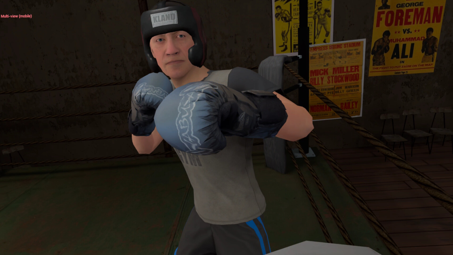 True Boxing VR on Steam