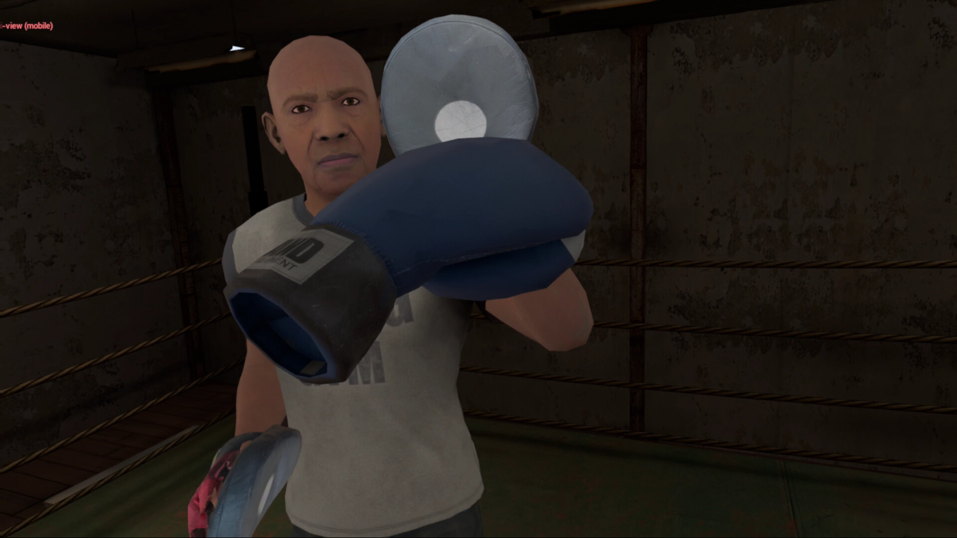 True Boxing VR on Steam