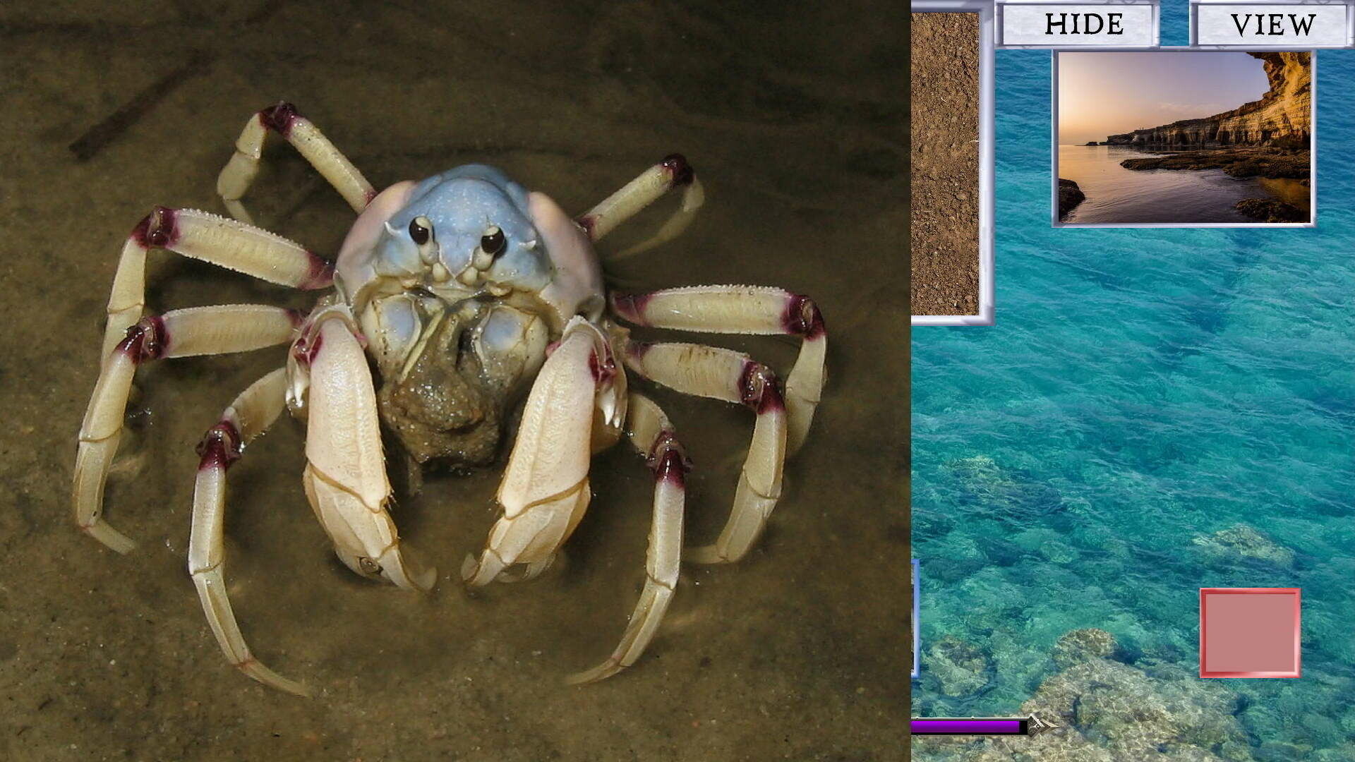 Wicked Times on Steam