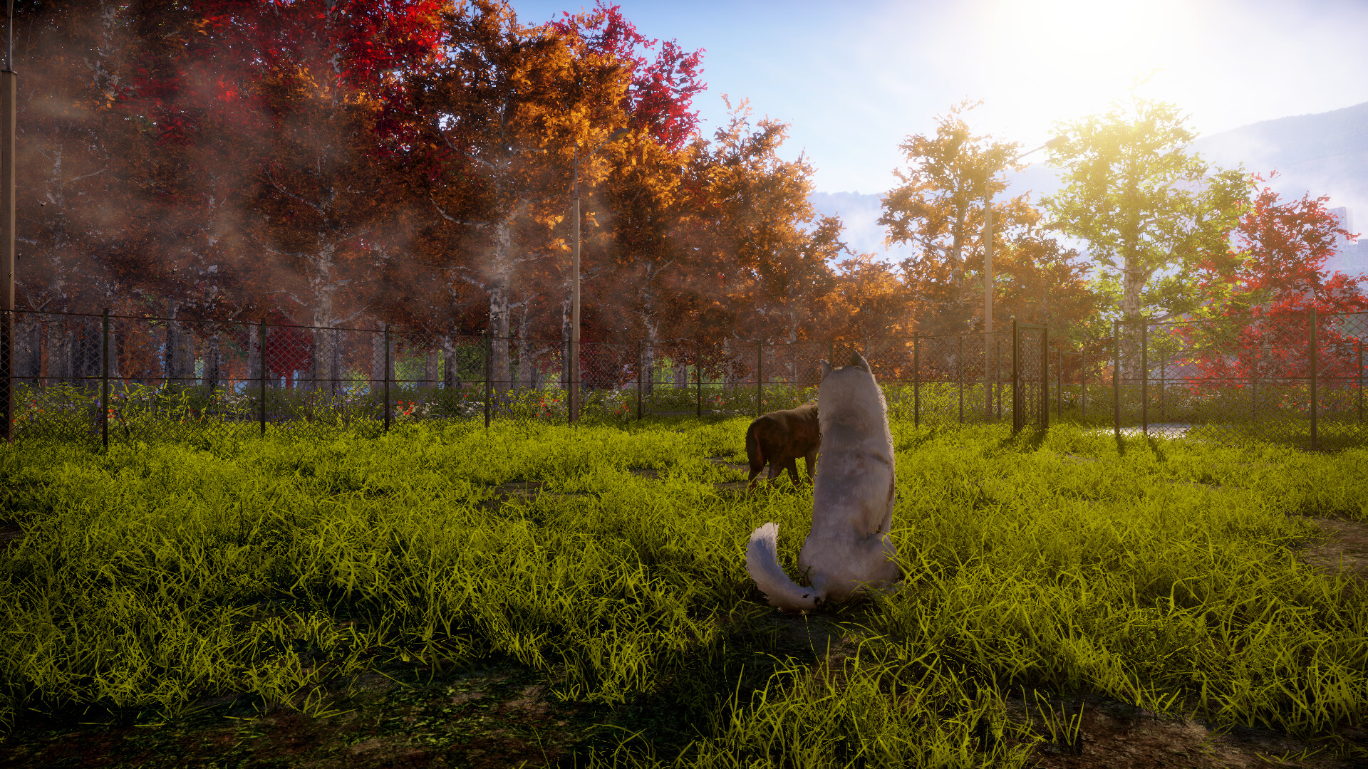 Animal Shelter 2 on Steam