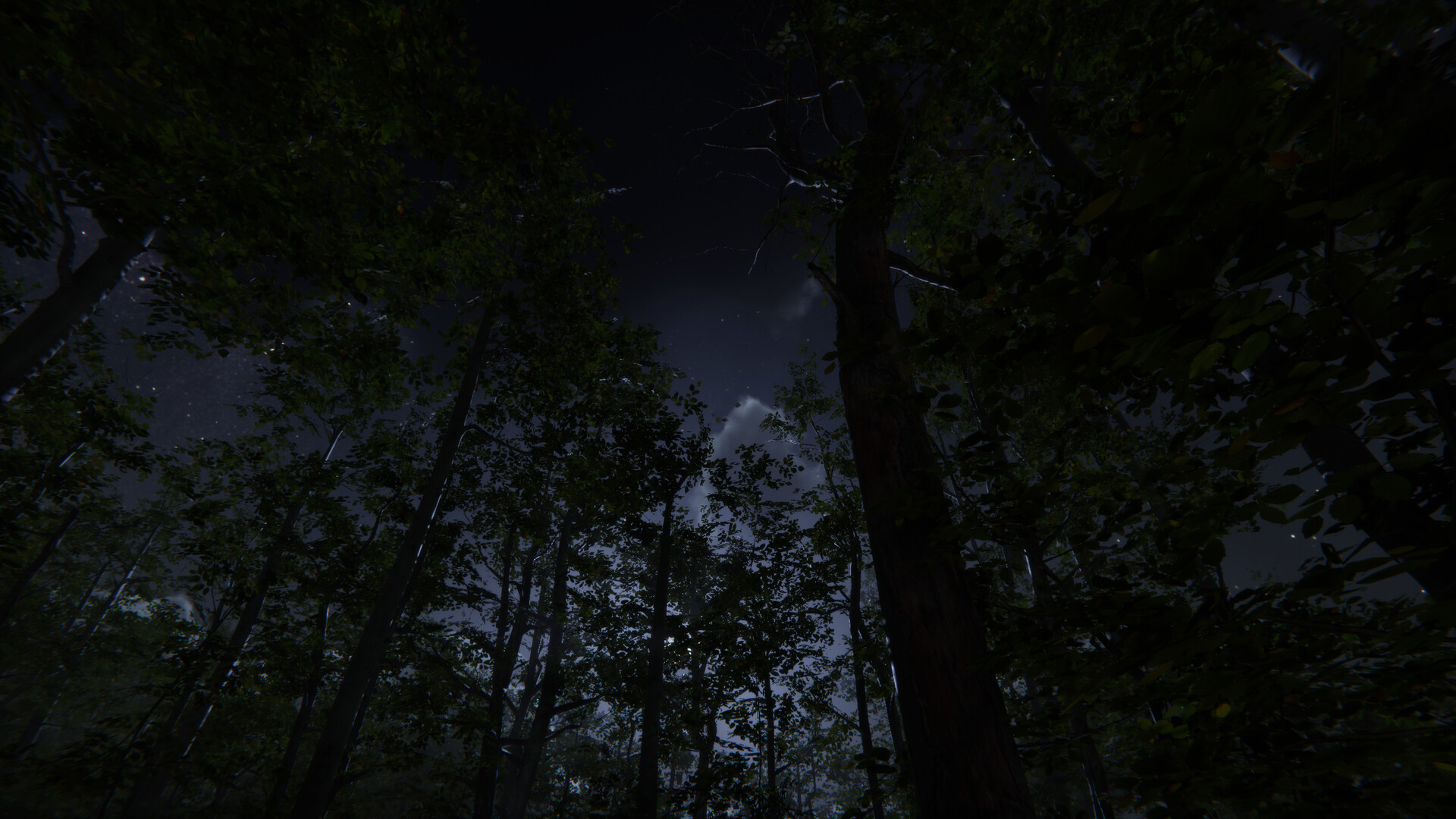 Camping Vlog Simulator 2024 on Steam