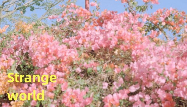 Strange world on Steam
