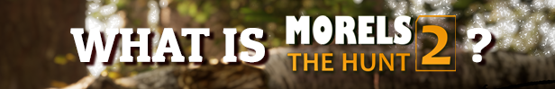 Morels: The Hunt 2 on Steam