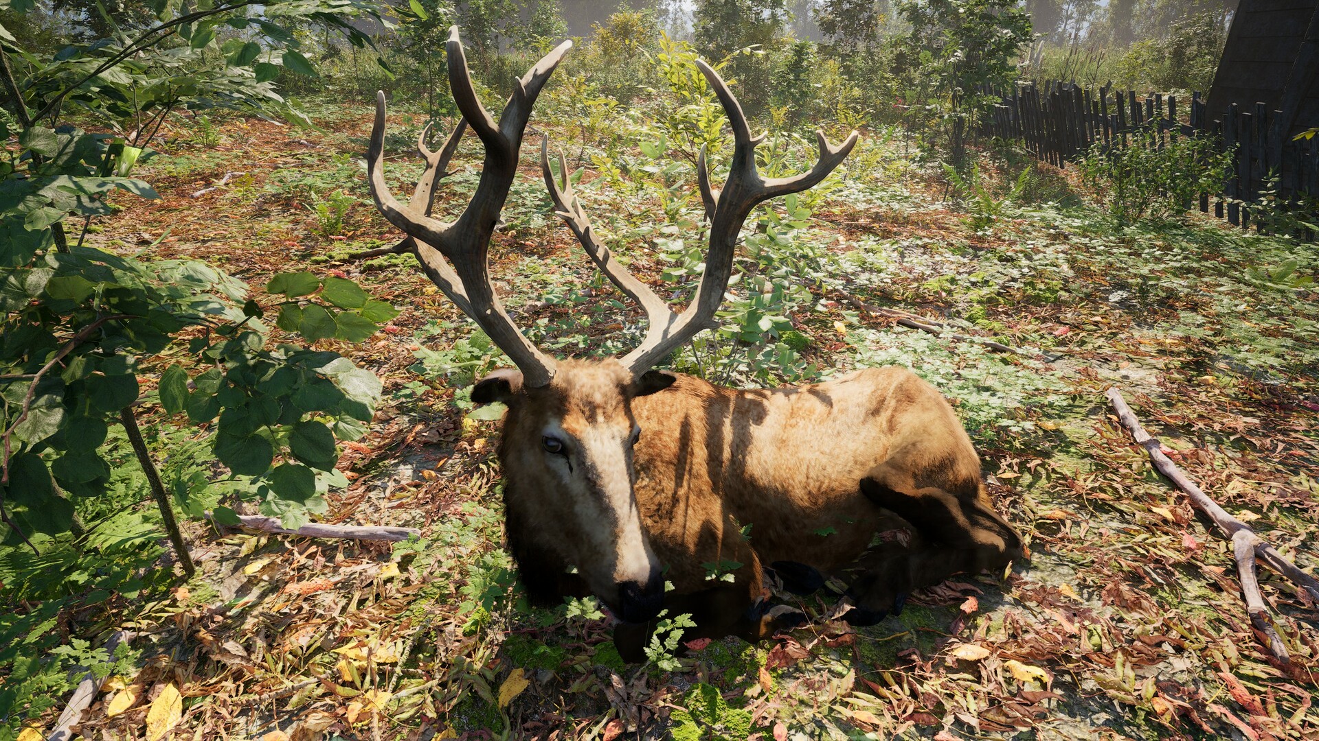 Russian Soul Simulator on Steam