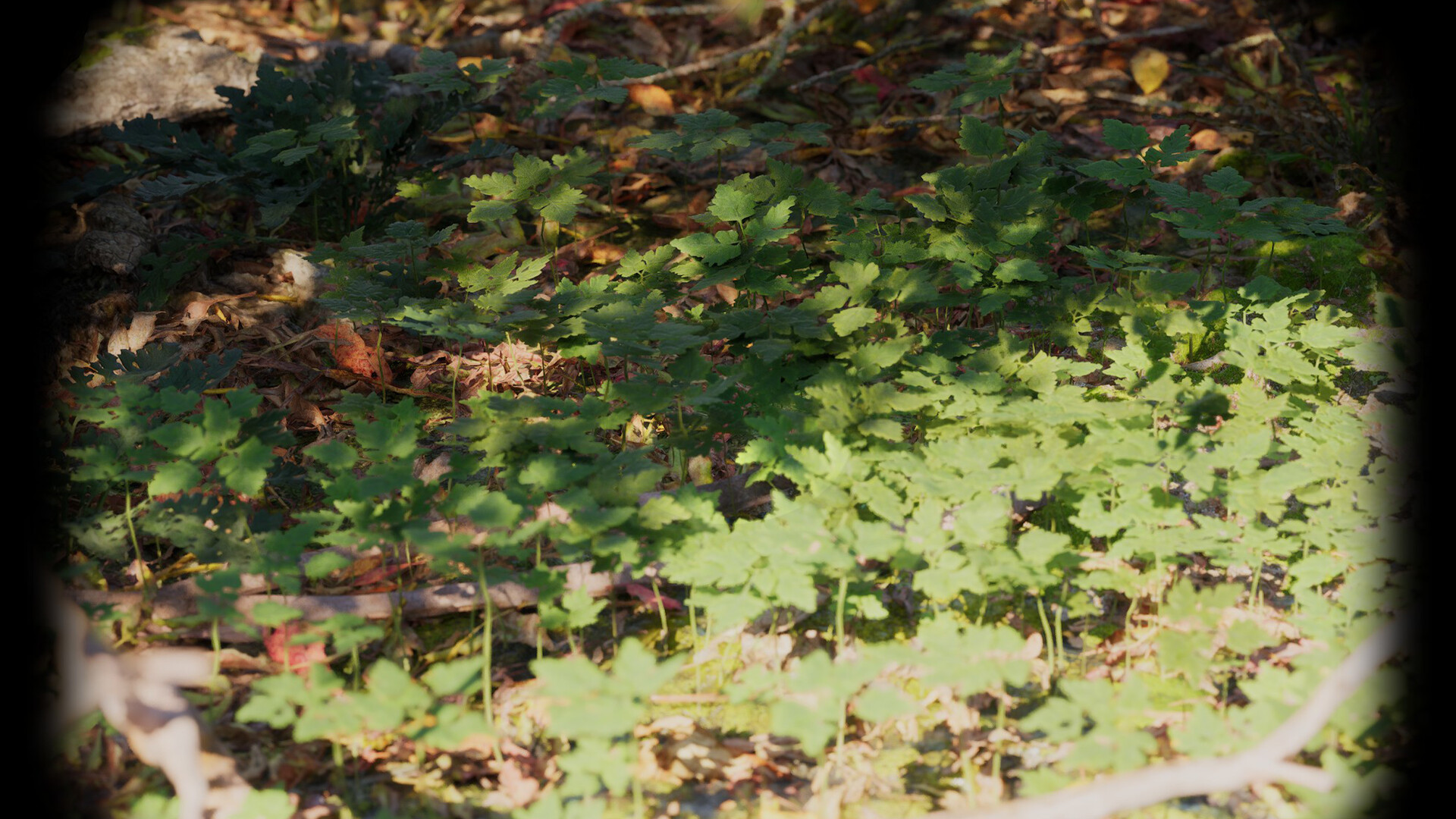 Russian Soul Simulator on Steam