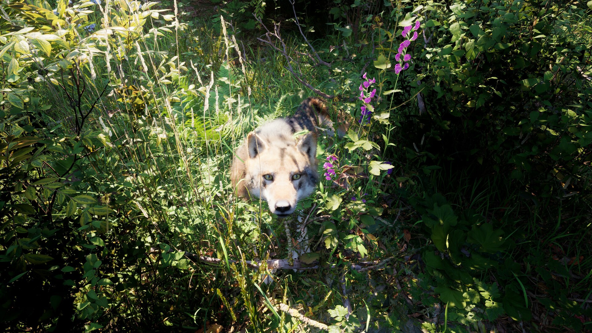 Russian Soul Simulator on Steam