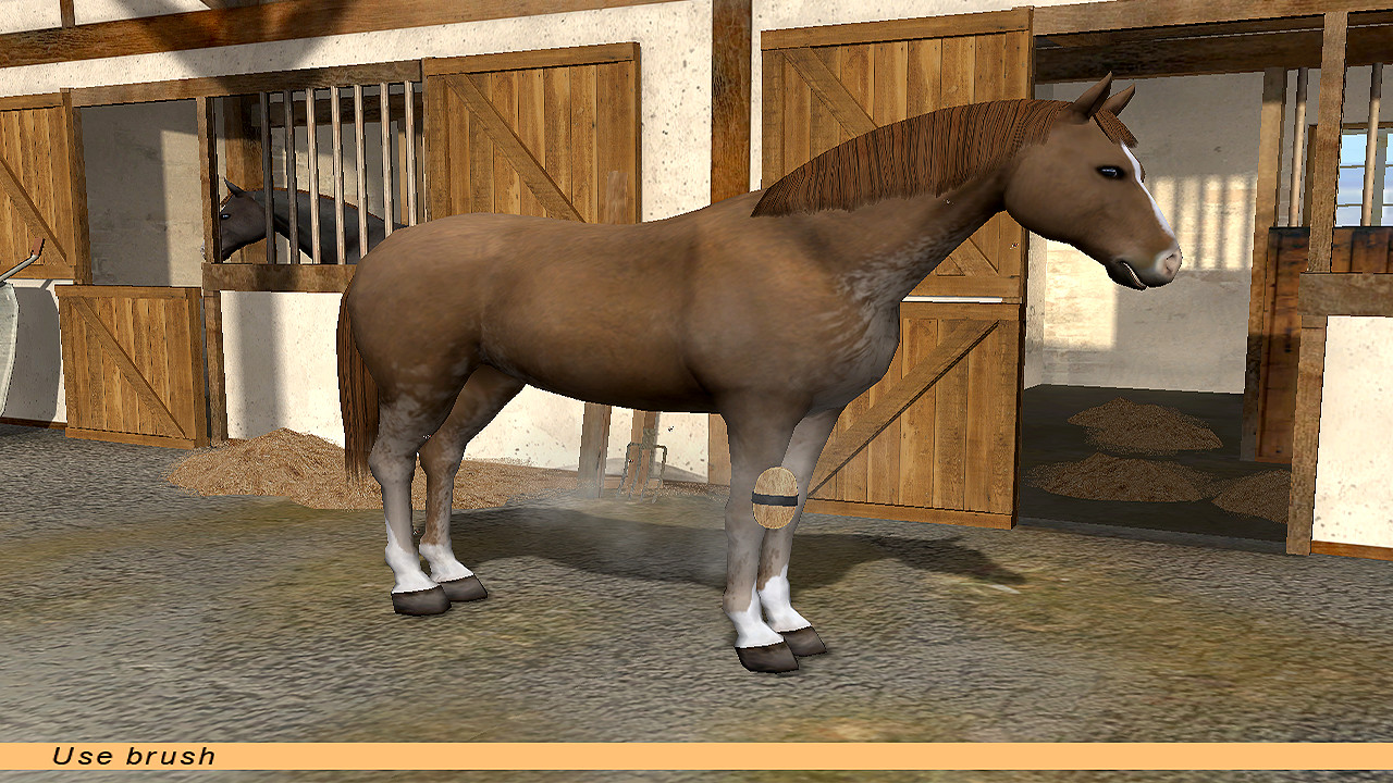 Riding Star - Horse Championship! on Steam
