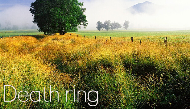 Death ring on Steam