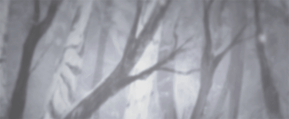 The Last Winter Knight on Steam