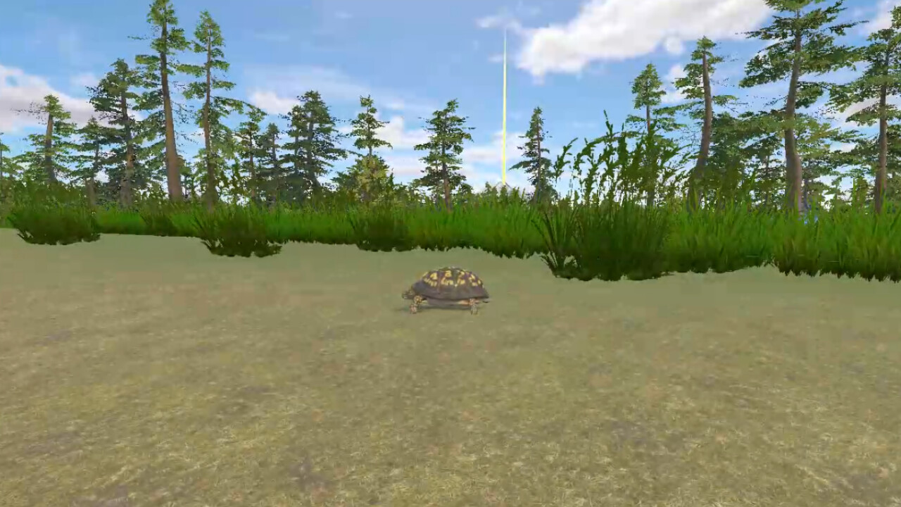 Rabbit and Turtle on Steam