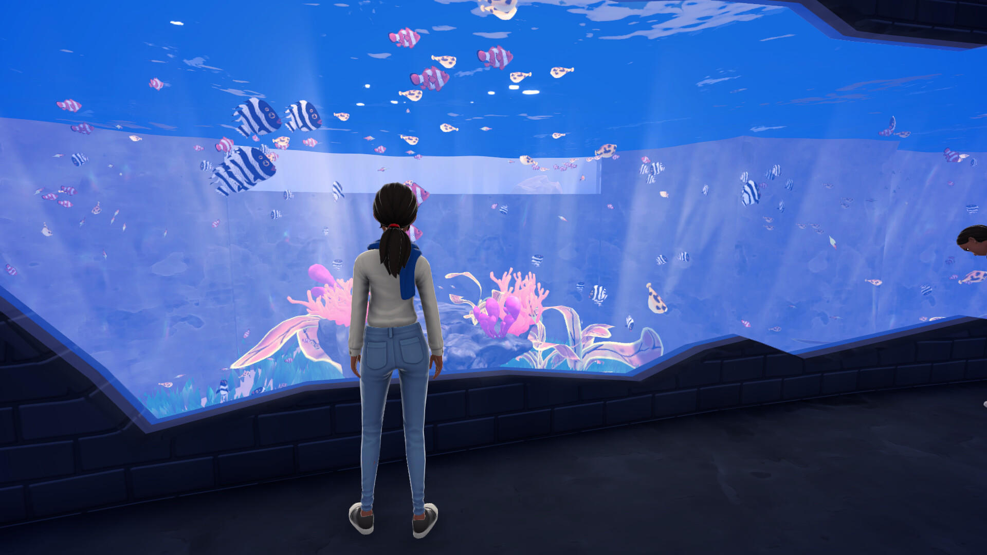Ocean Life: Aquarium Simulator on Steam