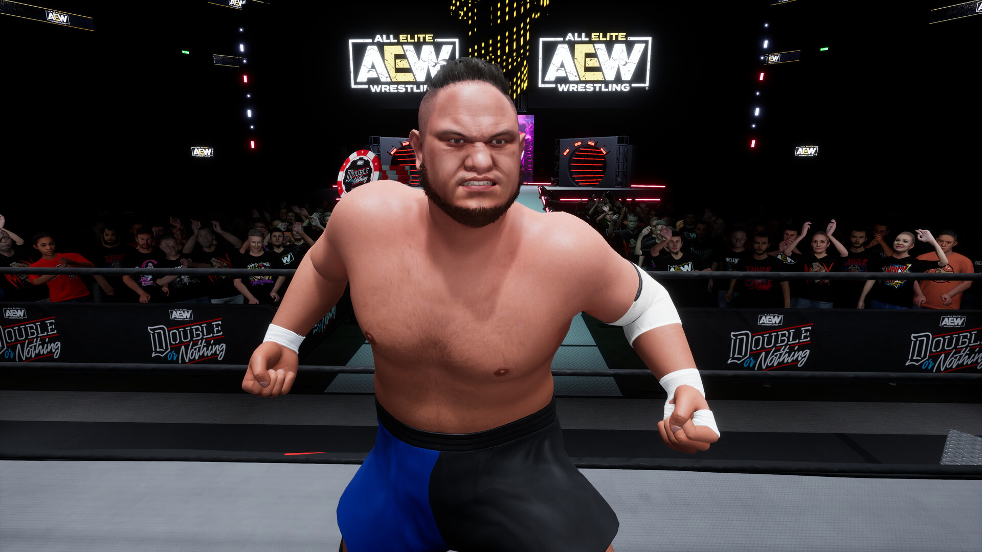AEW: Fight Forever - World War Joe on Steam