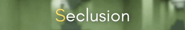 Seclusion on Steam