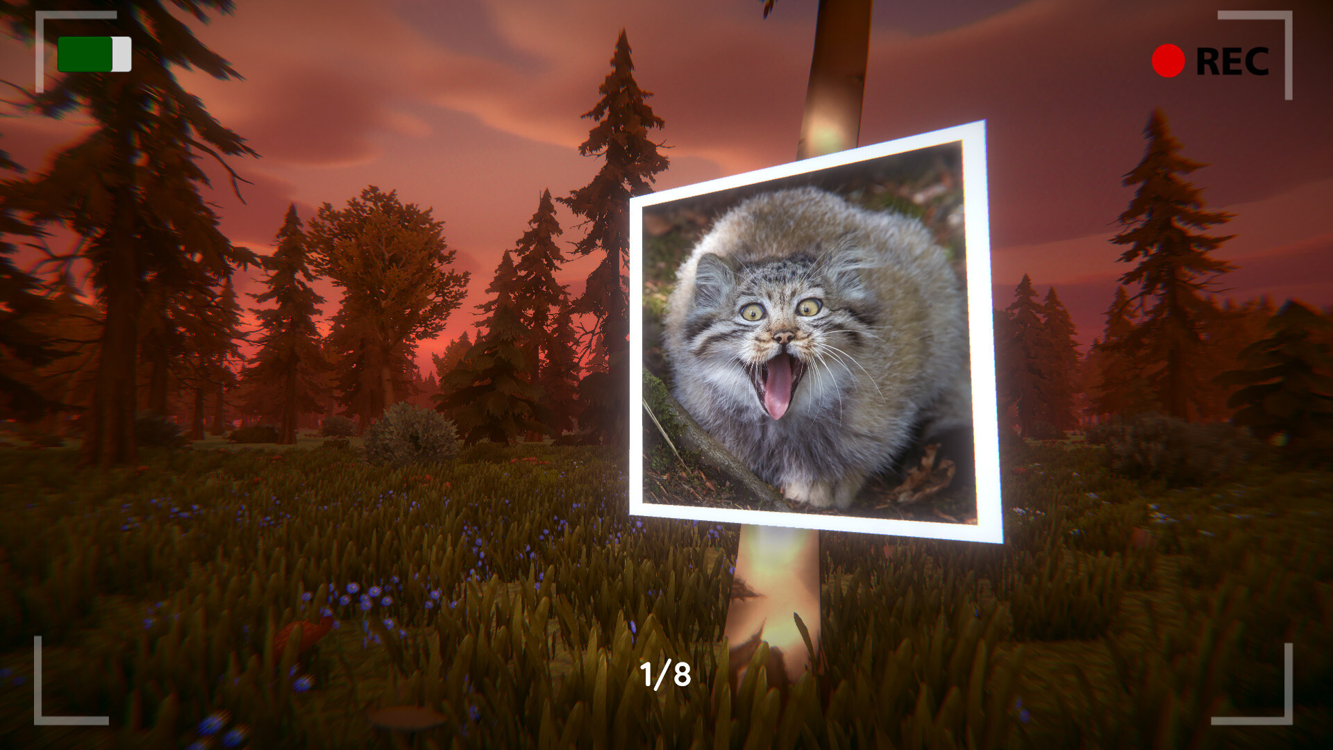 Floppa: The Dark Forest on Steam