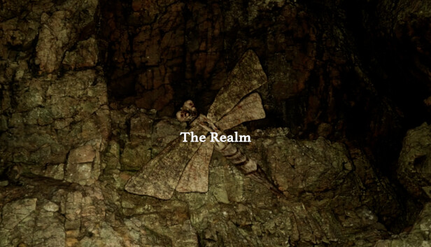 The Realm on Steam