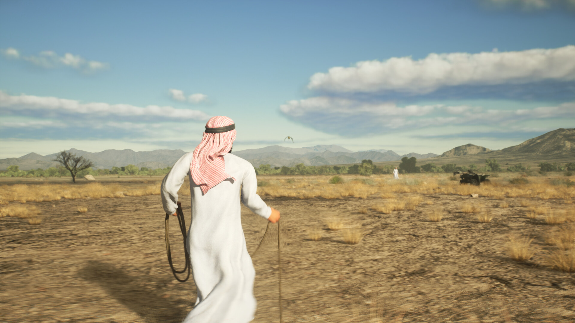 Enter Falconry on Steam