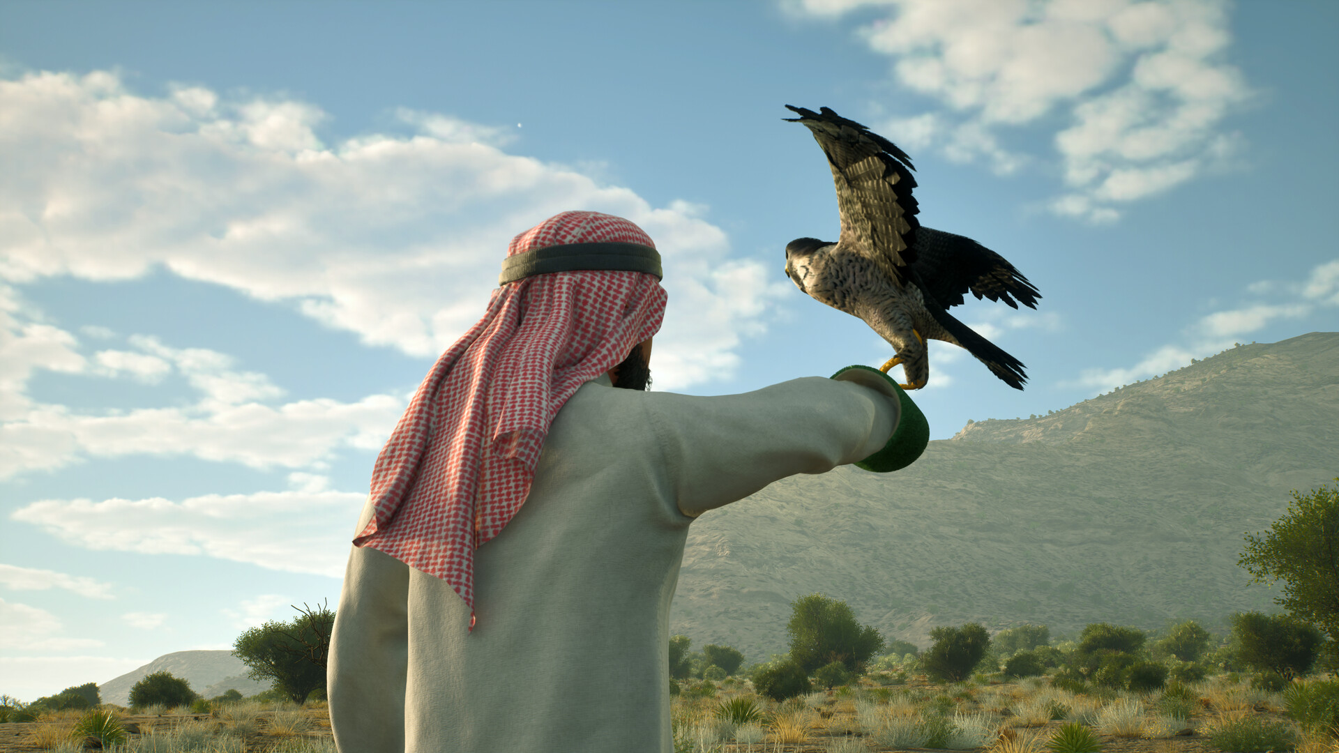 Enter Falconry on Steam