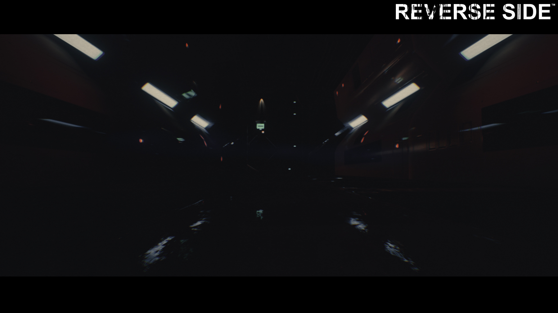 REVERSE SIDE on Steam