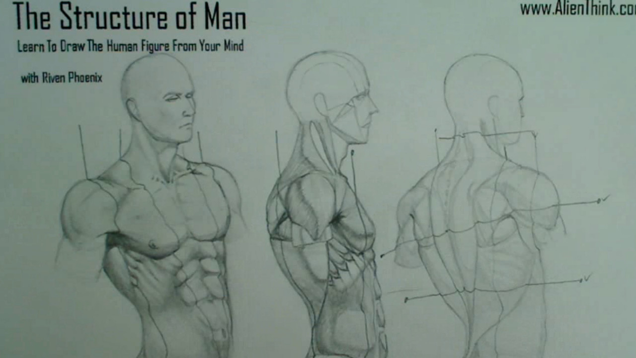 Complete Figure Drawing Course HD on Steam