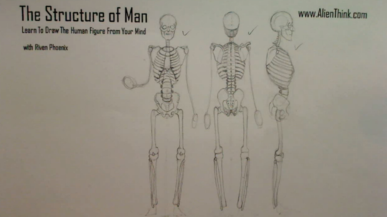 Complete Figure Drawing Course HD on Steam