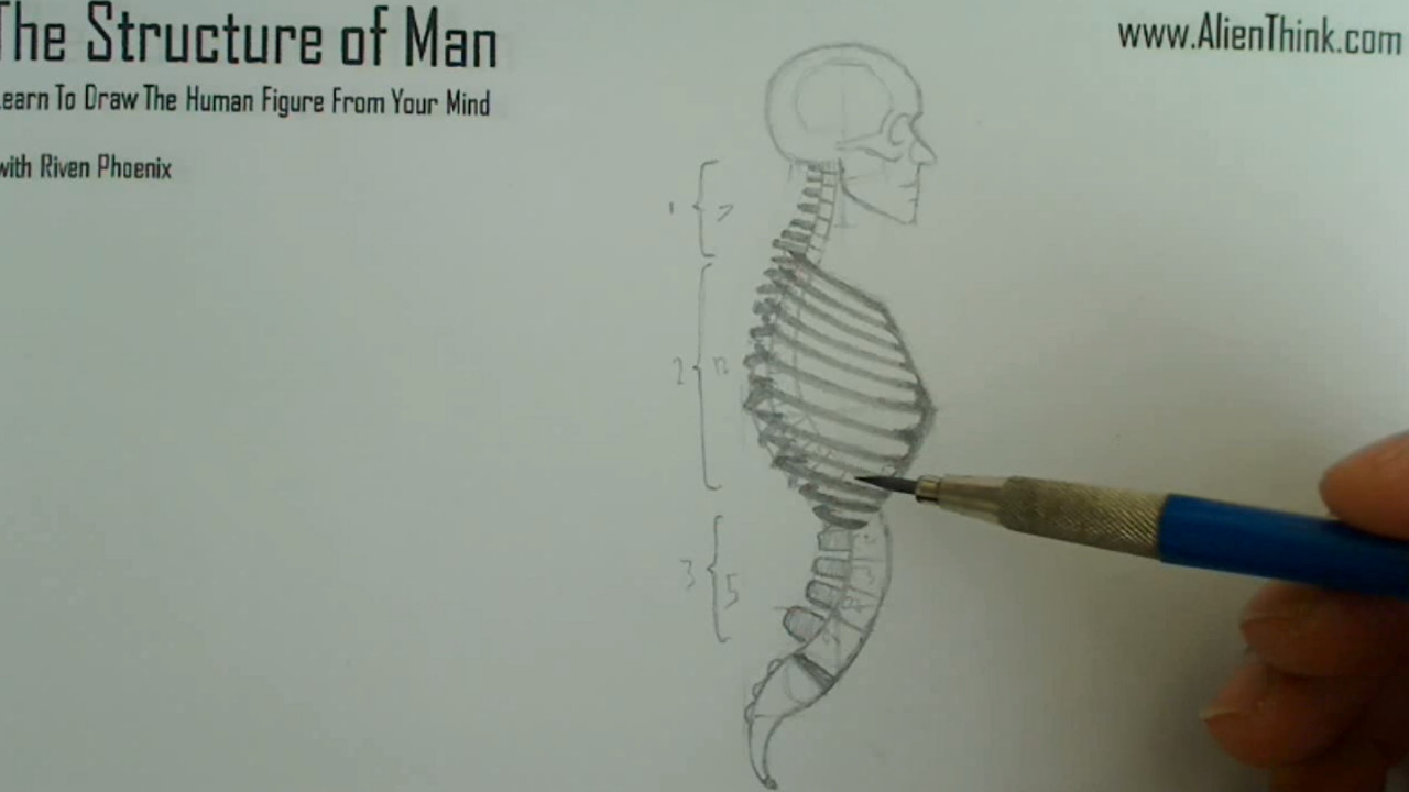 Complete Figure Drawing Course HD on Steam