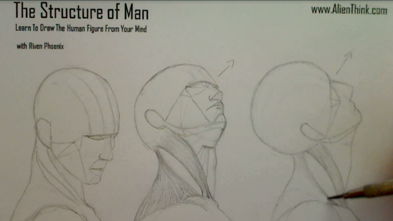 Complete Figure Drawing Course HD on Steam