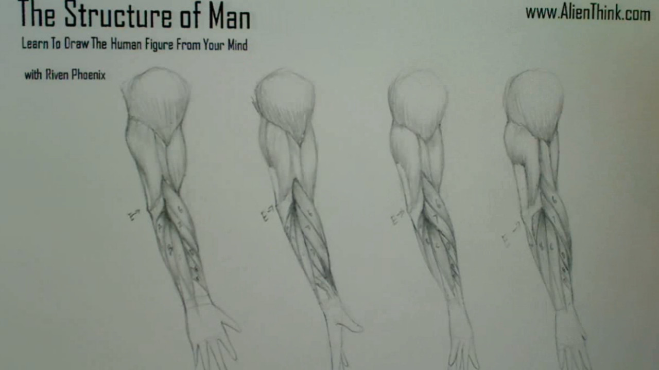 Complete Figure Drawing Course HD on Steam