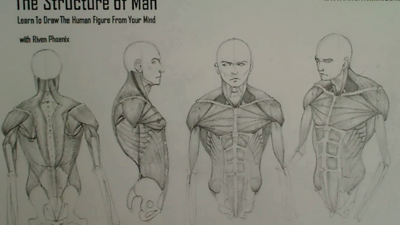 Complete Figure Drawing Course HD on Steam