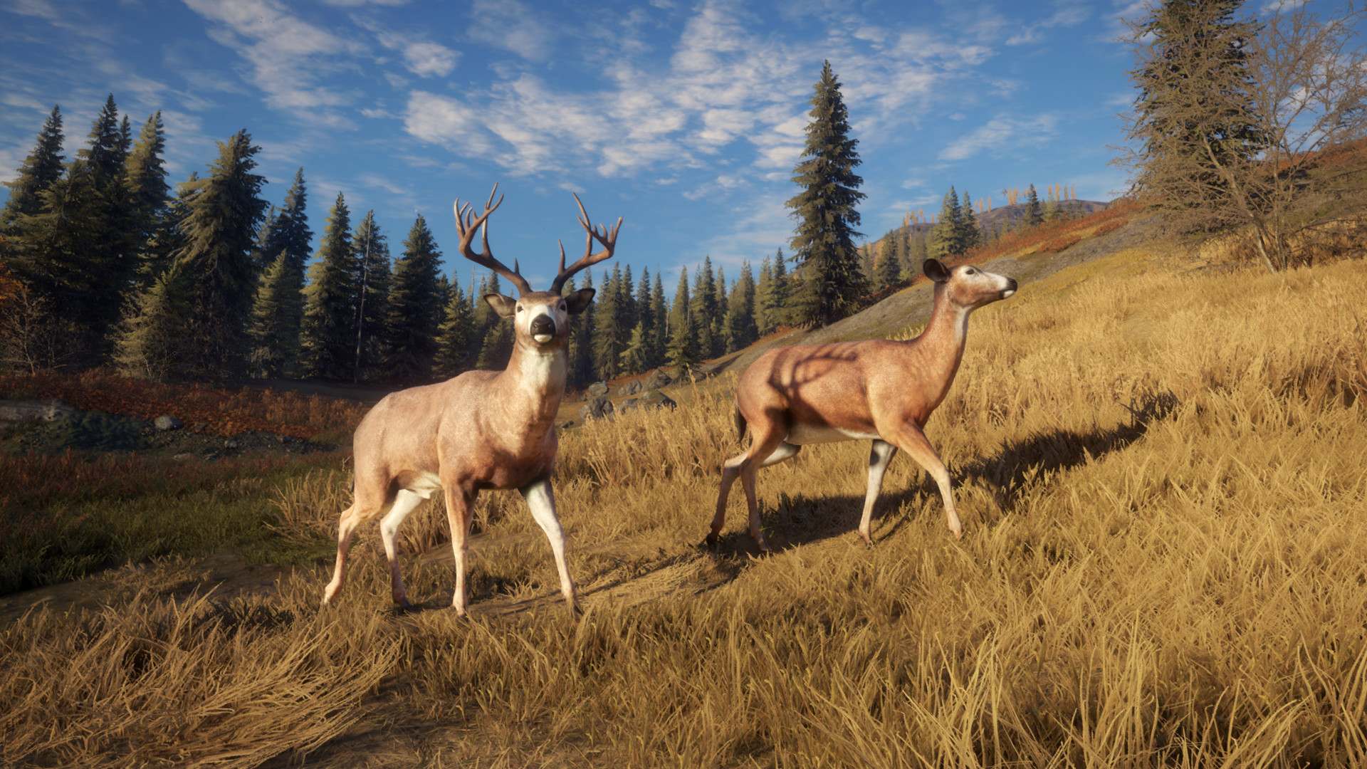 Save 80% on theHunter: Call of the Wild™ on Steam