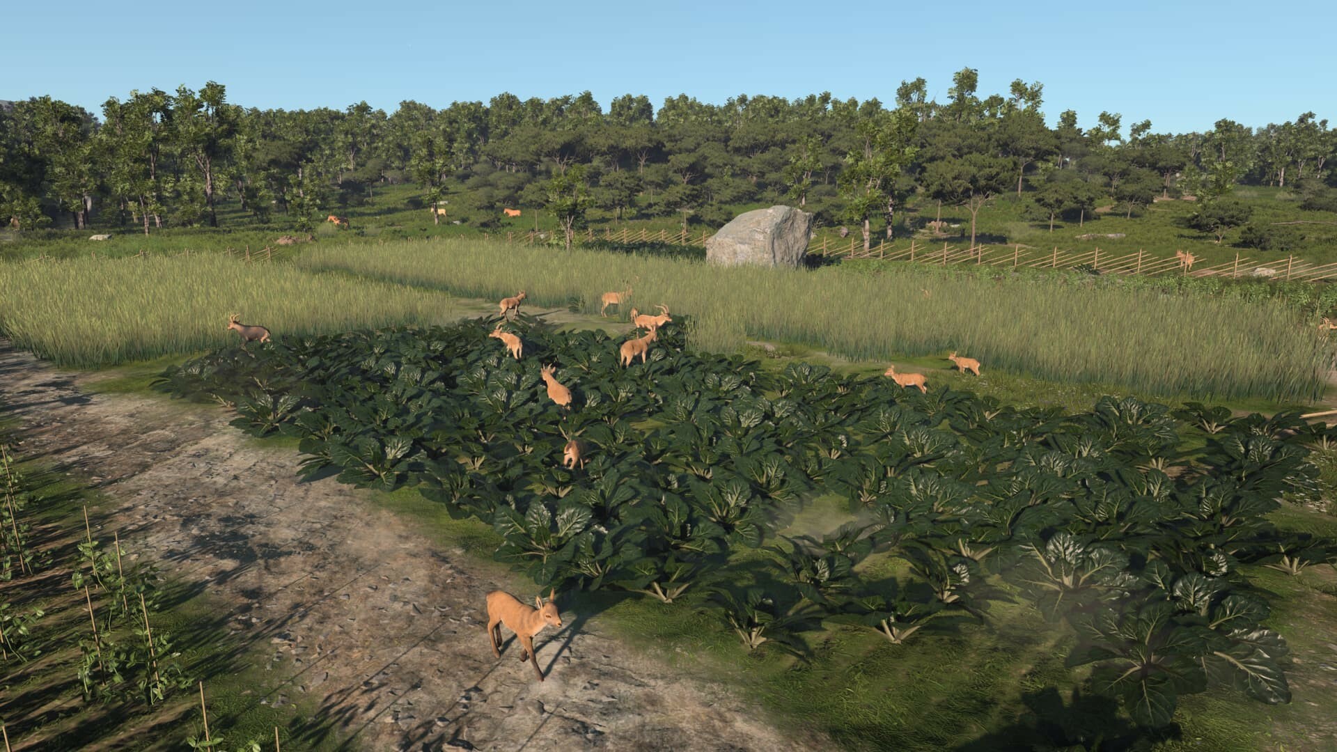 Ancient Cities on Steam