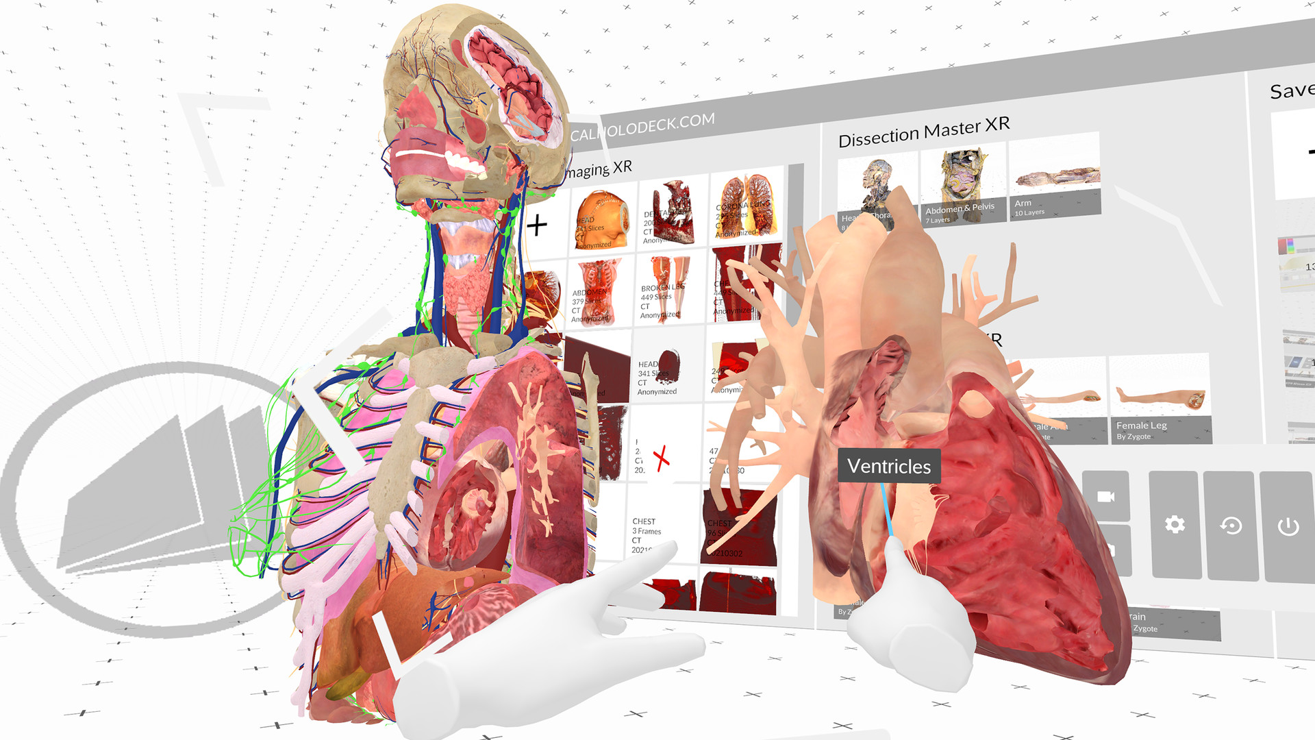 MEDICALHOLODECK. Virtual Reality for Surgical Teaching, Anatomy ...