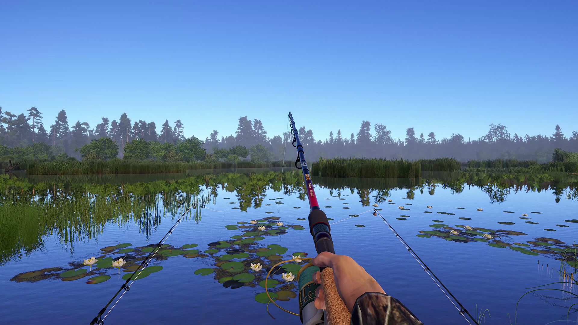Russian Fishing 4 в Steam