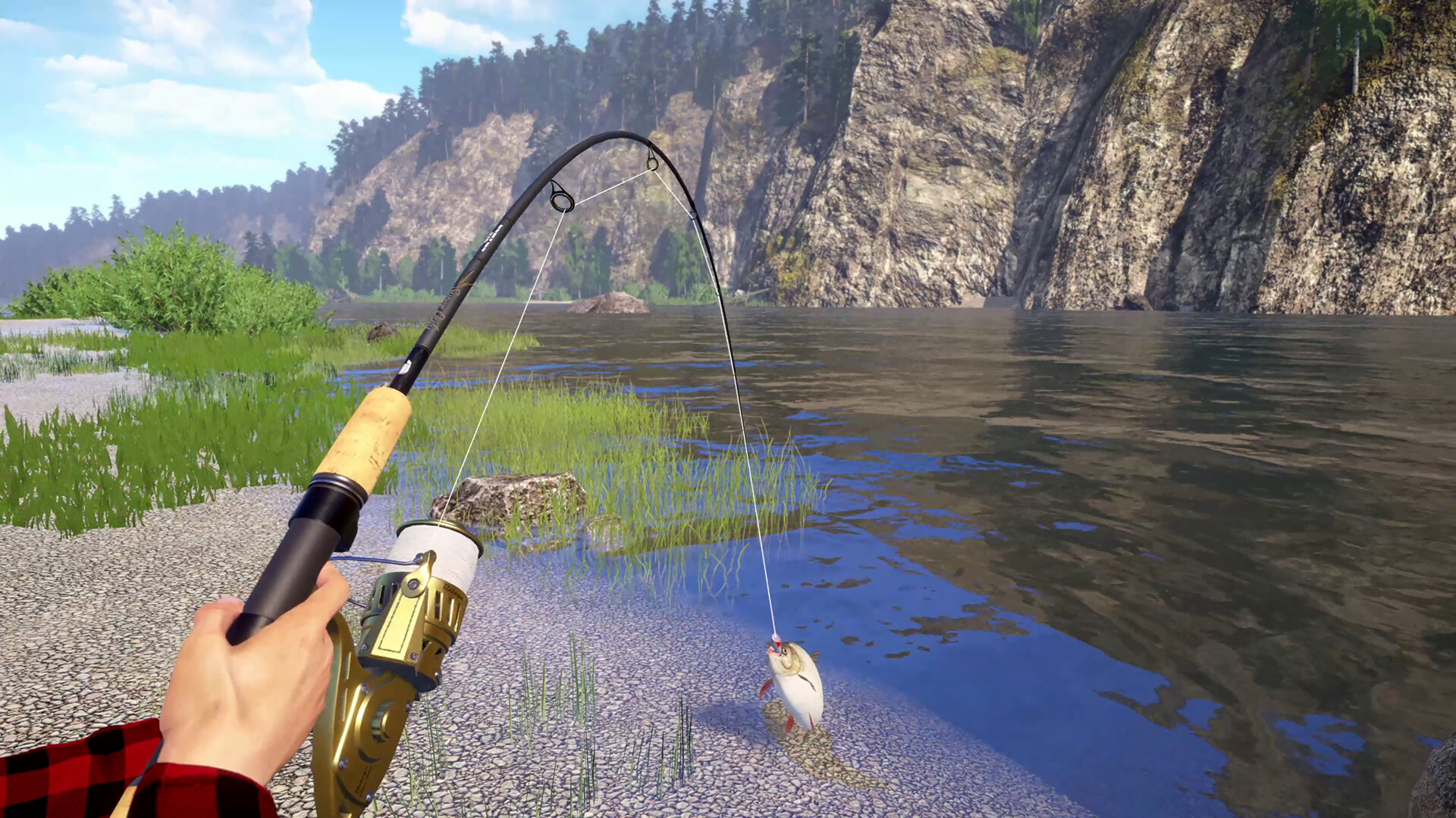 Russian Fishing 4 on Steam