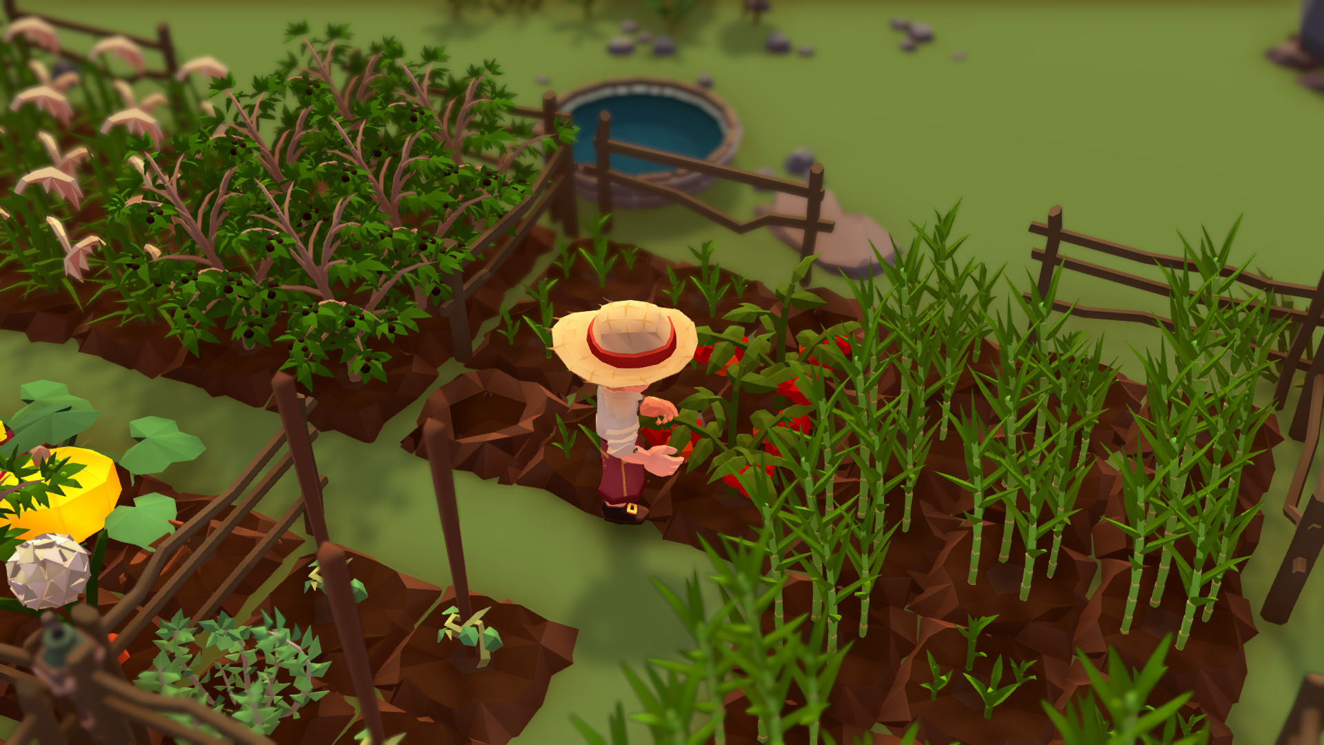 Stranded Sails - Explorers of the Cursed Islands on Steam