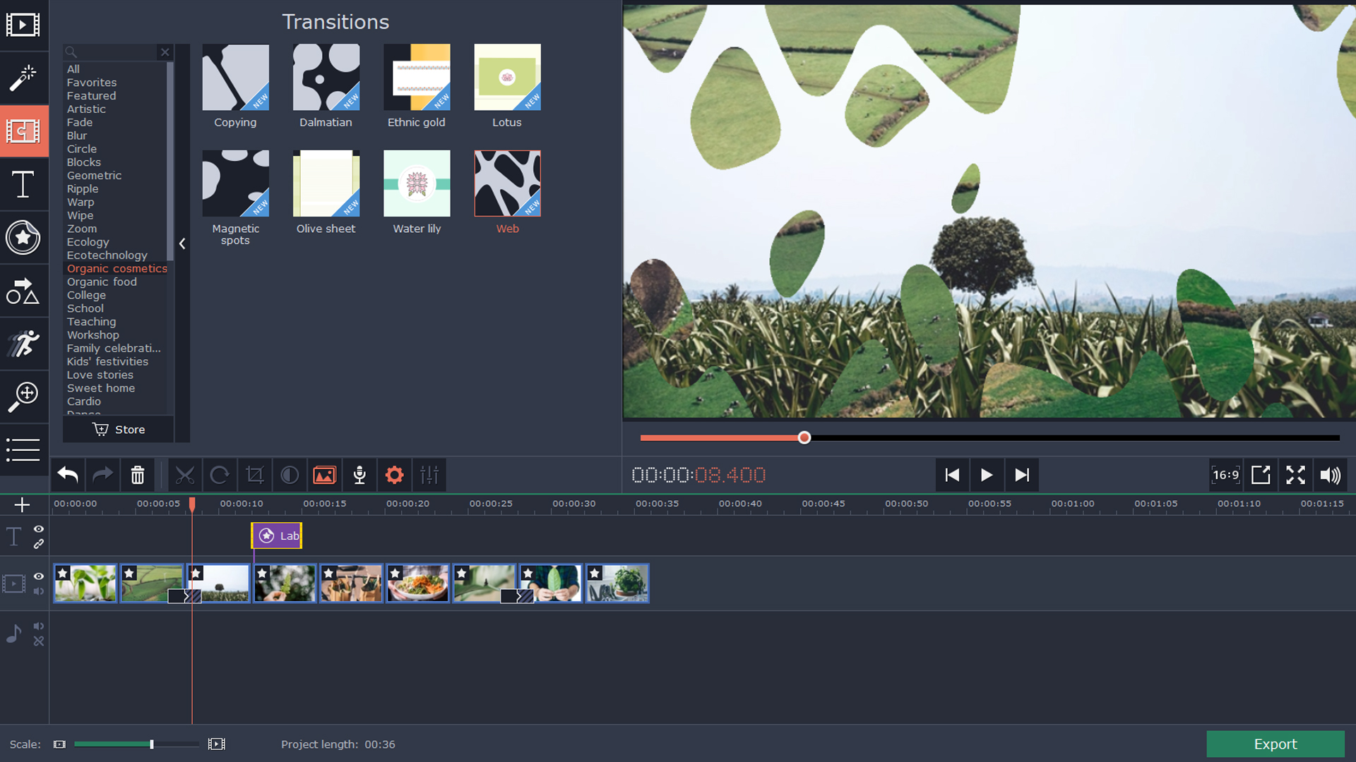 Movavi Video Editor 15 Plus Effects - Eco Set | Steambase