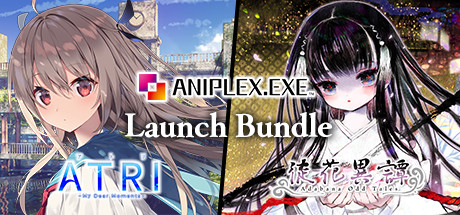 ANIPLEX.EXE LAUNCH BUNDLE on Steam