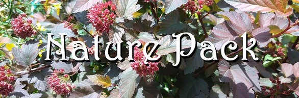 Nature Pack on Steam