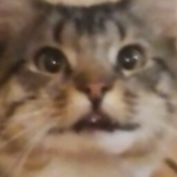 Dialtown: Phone Dating Sim on Steam