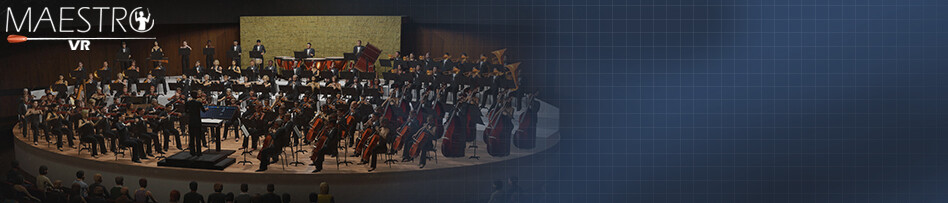 Maestro VR