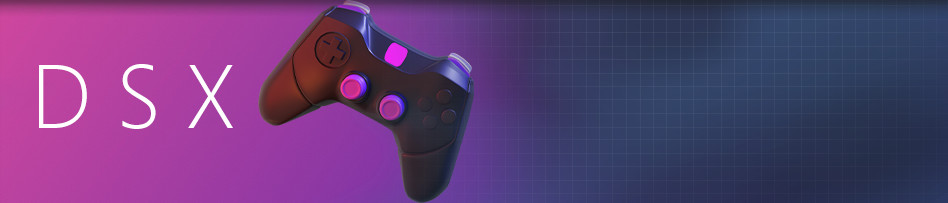 DSX