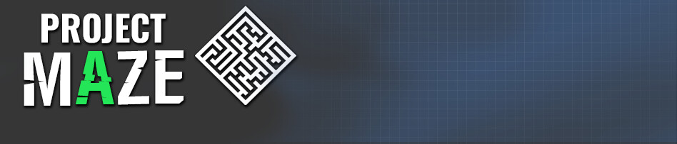 PROJECT MAZE