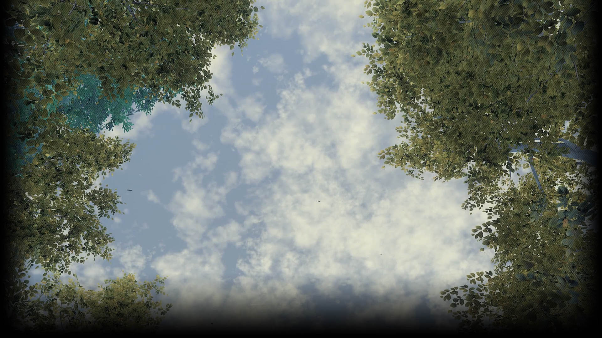 Backgrounds.Gallery | Background - Peaks of Yore - Old Grove